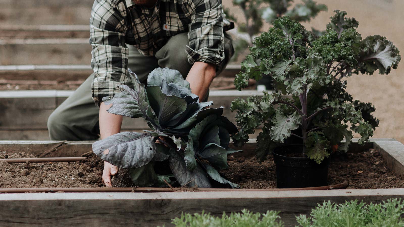 Hospitality Jobs - Finley Farms near Springfield, MO