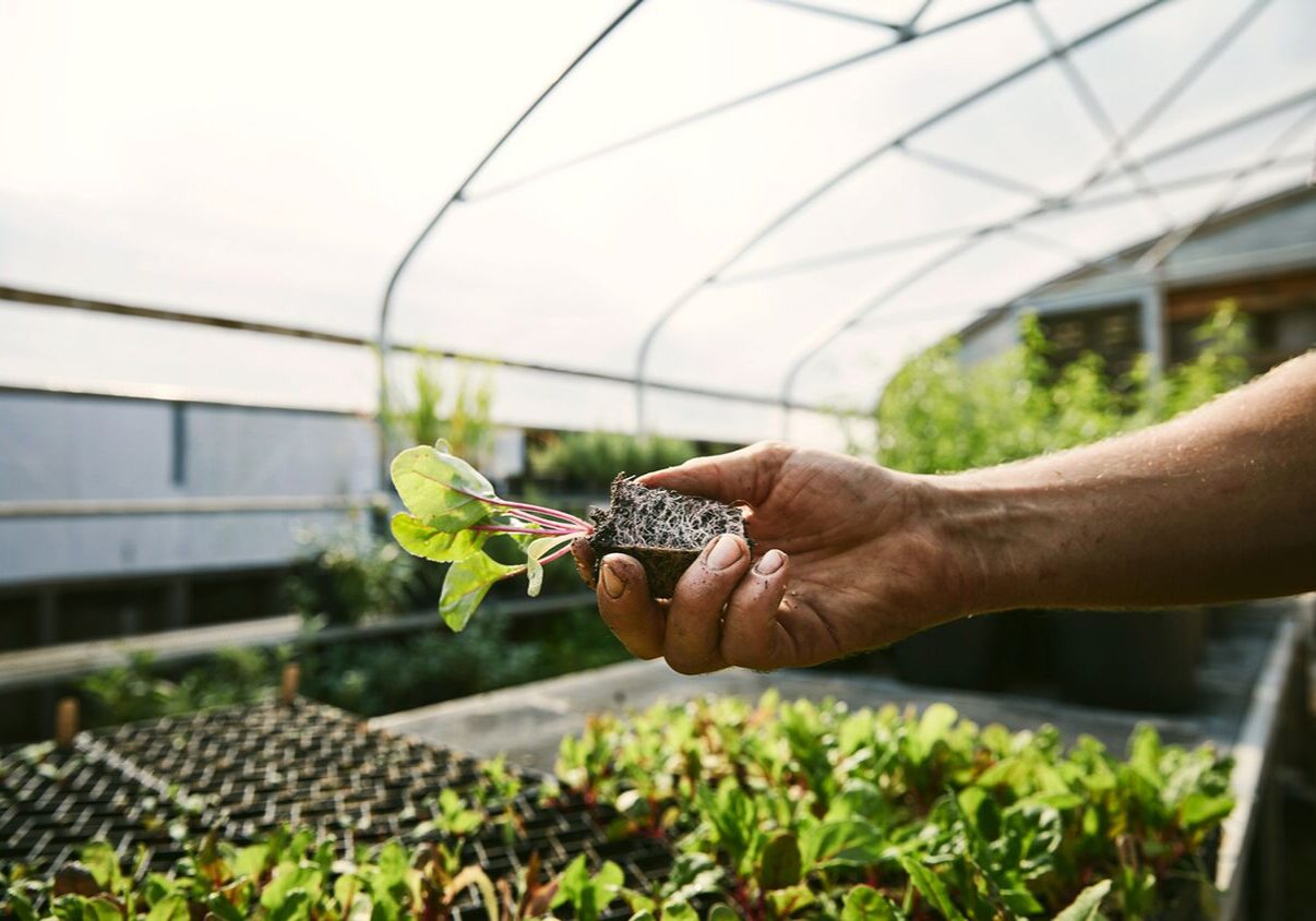 Workshops & Events - Finley Farms near Springfield, MO